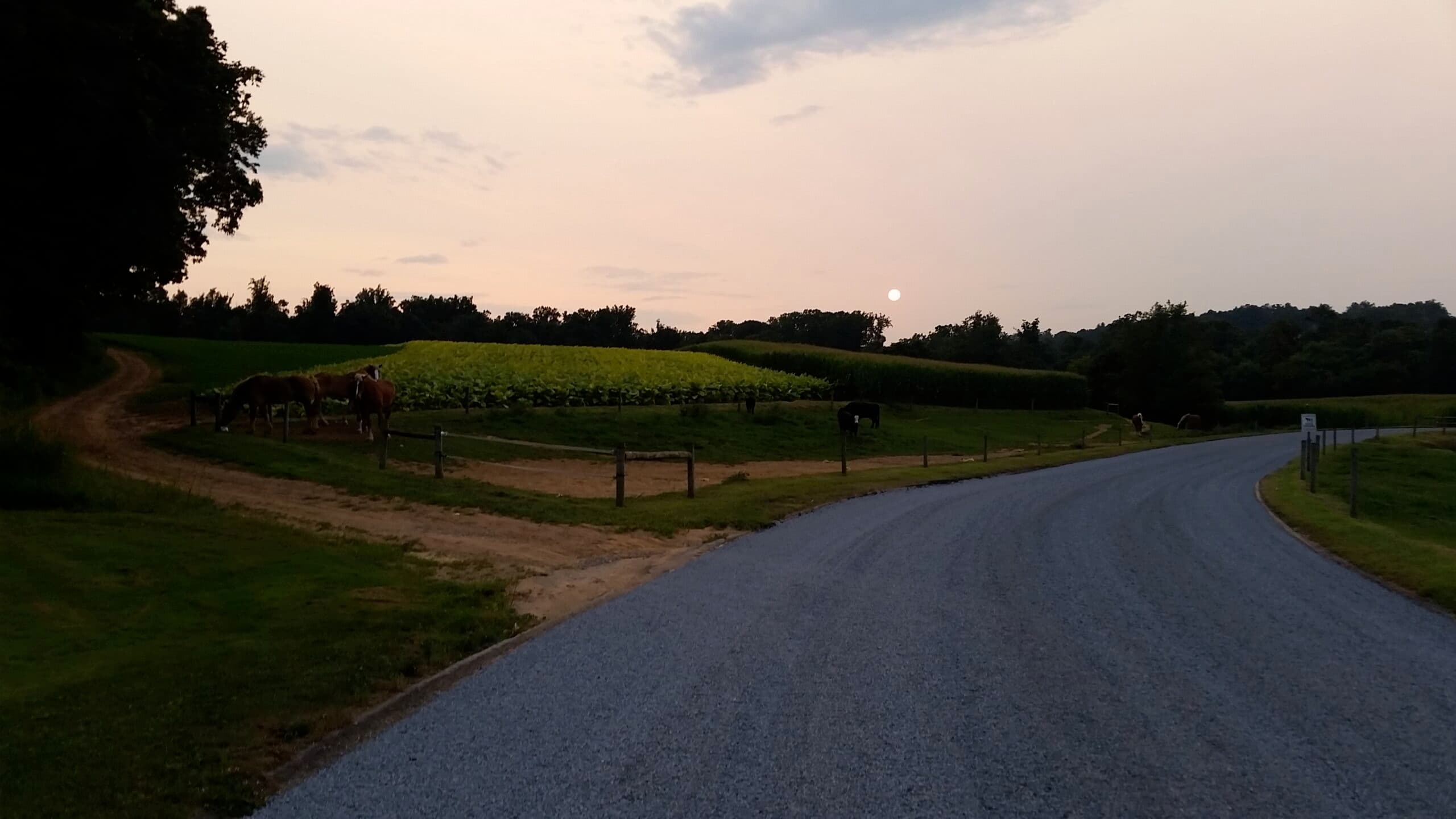 Amish Country Getaways | Twin Pine Manor